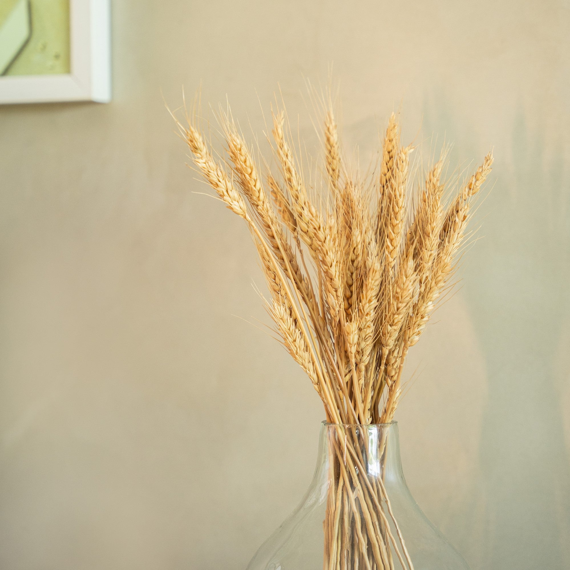 Dried Grass – www.edamame.in
